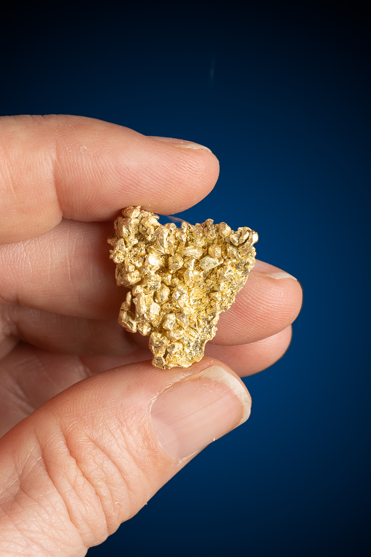 Large and Chunky Octahedron Crystals on this Natural Gold Specimen from ...